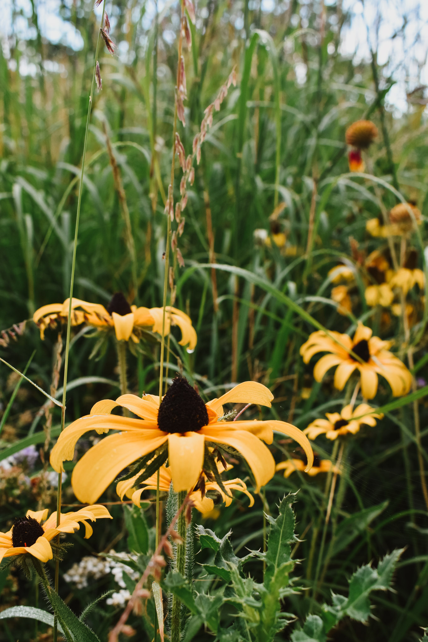 9 Great Things to add to Your Devils Lake Itinerary | KAT TELLS ALL