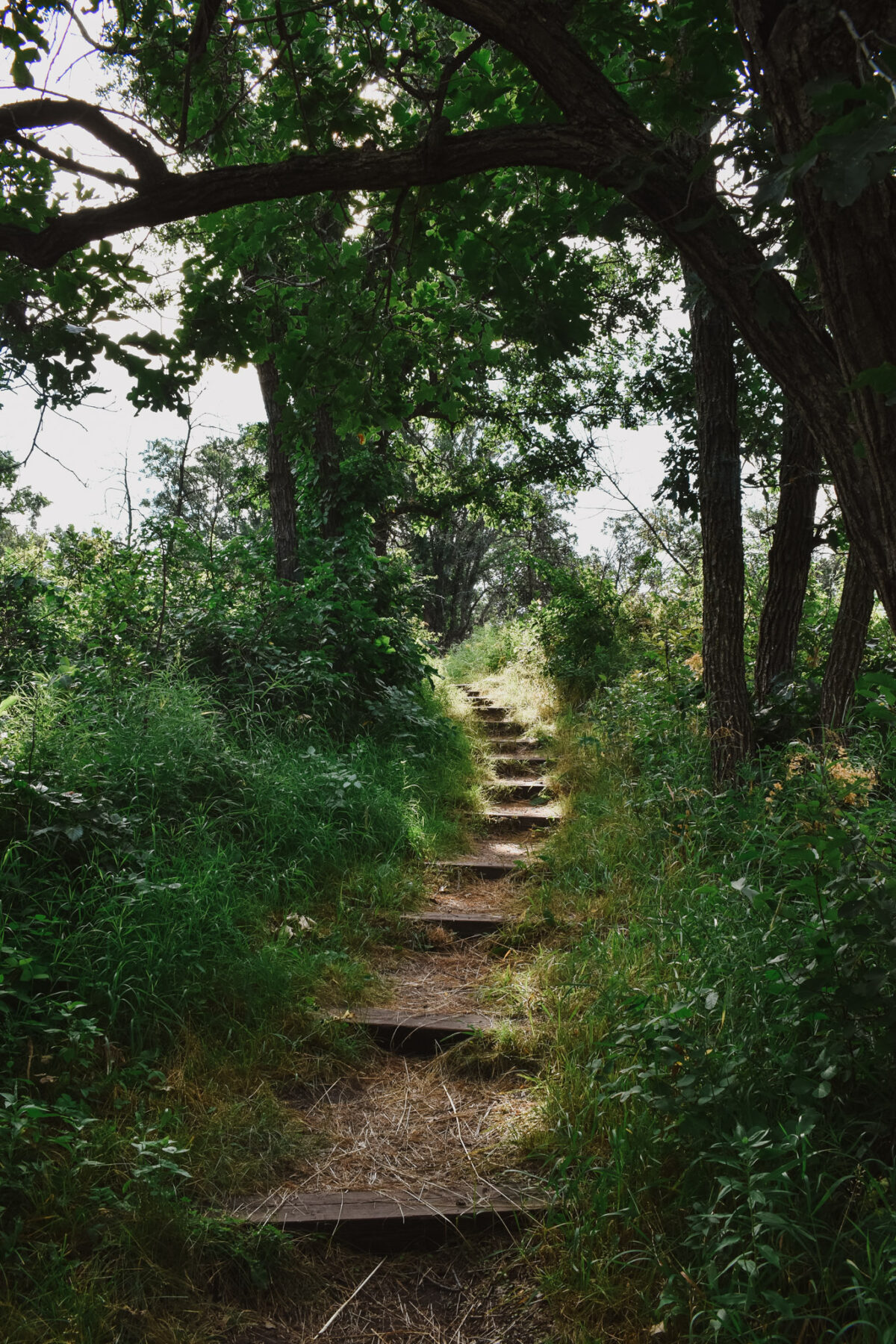 9 Great Things to add to Your Devils Lake Itinerary | KAT TELLS ALL