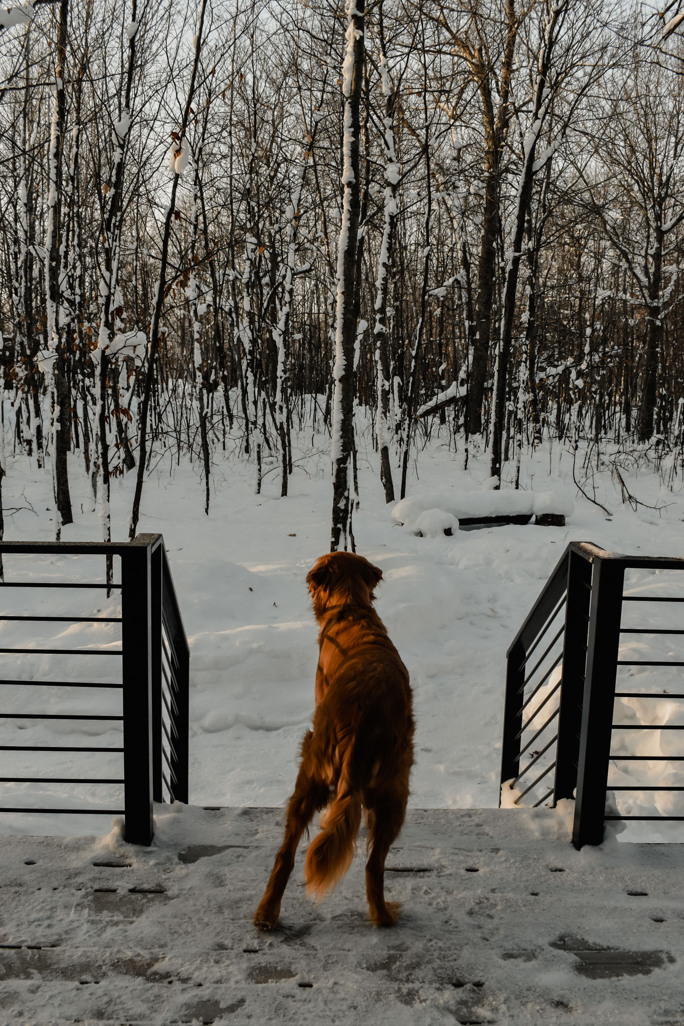 The BEST Place to stay near Itasca State Park | KAT TELLS ALL