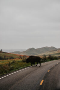 Your Weekend Guide for Medora North Dakota | KAT TELLS ALL